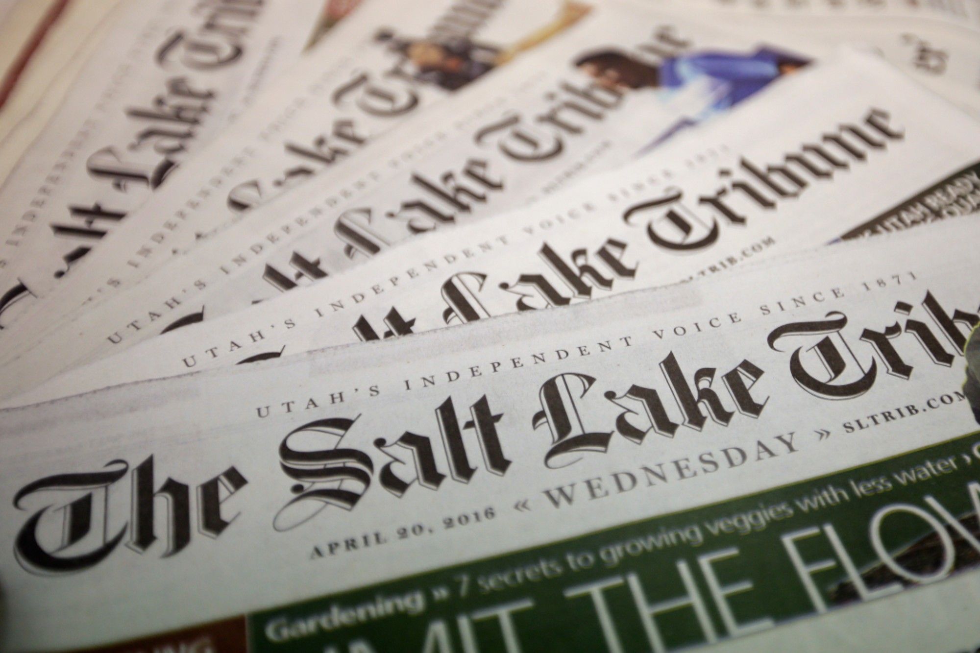12 lawyers say Amendment 3 will pass legal muster - Equality Utah